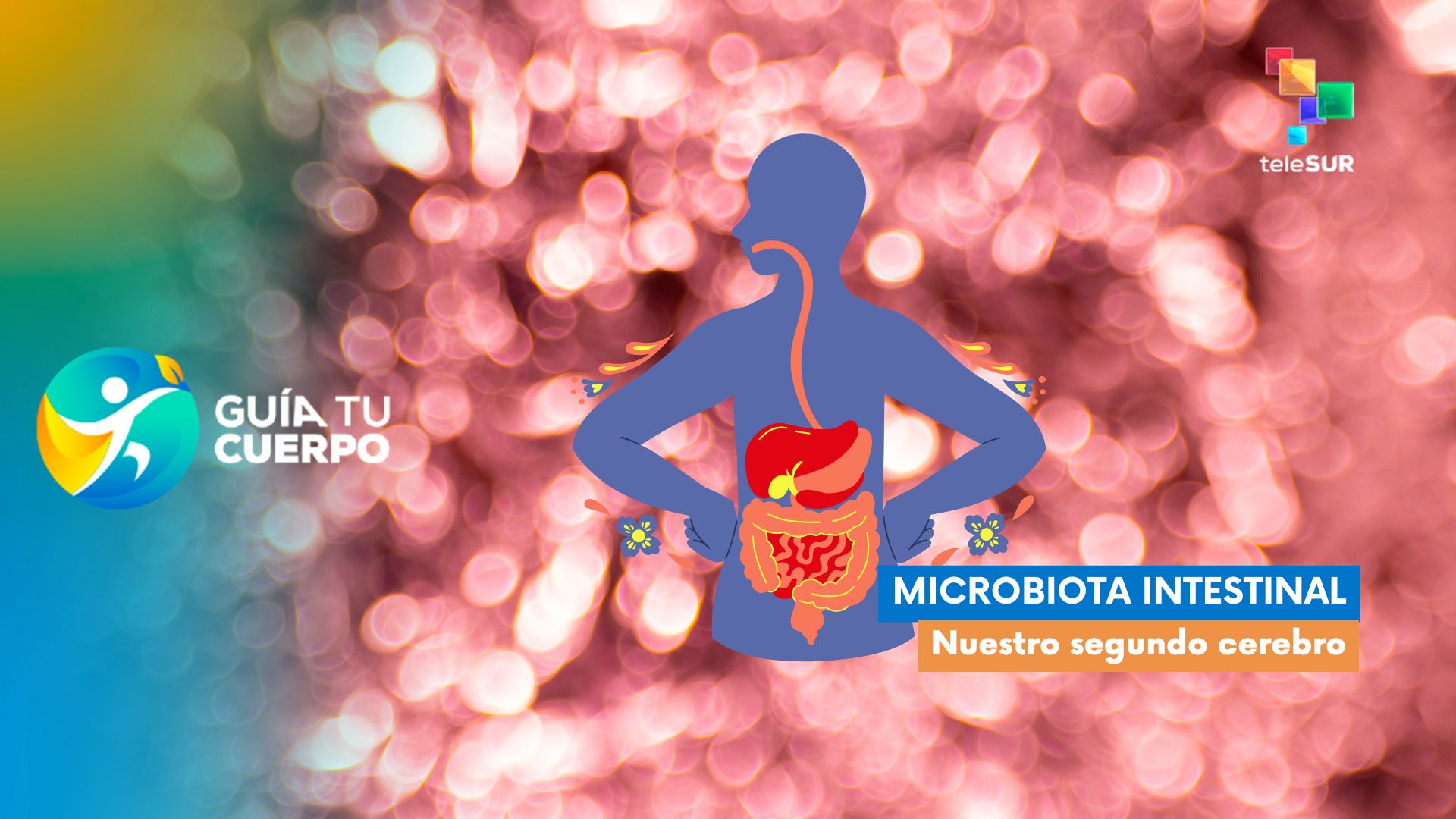 Guía tu cuerpo | Microbiota intestinal: nuestro segundo cerebro
