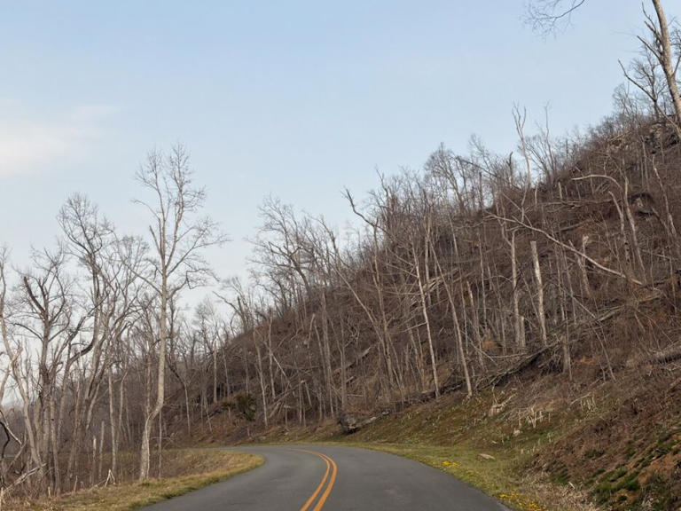 Park Service announces work to reduce fire risk along Blue Ridge Parkway