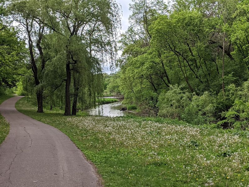 The Minnesota Narnia trail that turns a simple family hike into a ...