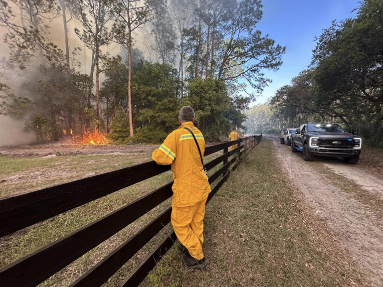 Wildfire Blog: Firefighters work to contain Cow Creek Fire in Levy ...