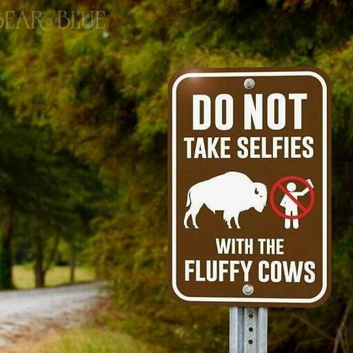 76 memes that perfectly capture life in the outdoors