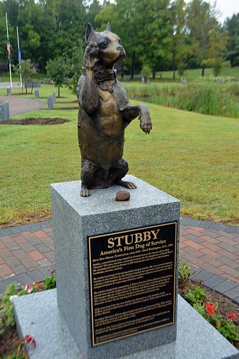 Statue of Connecticut's famous war dog, Sgt. Stubby, unveiled at state ...
