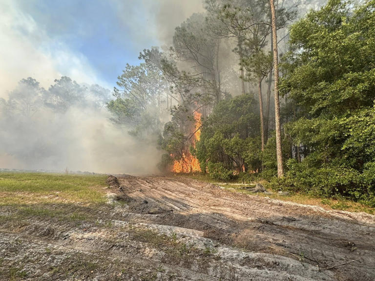 Wildfire Blog: Firefighters work to contain Cow Creek Fire in Levy ...