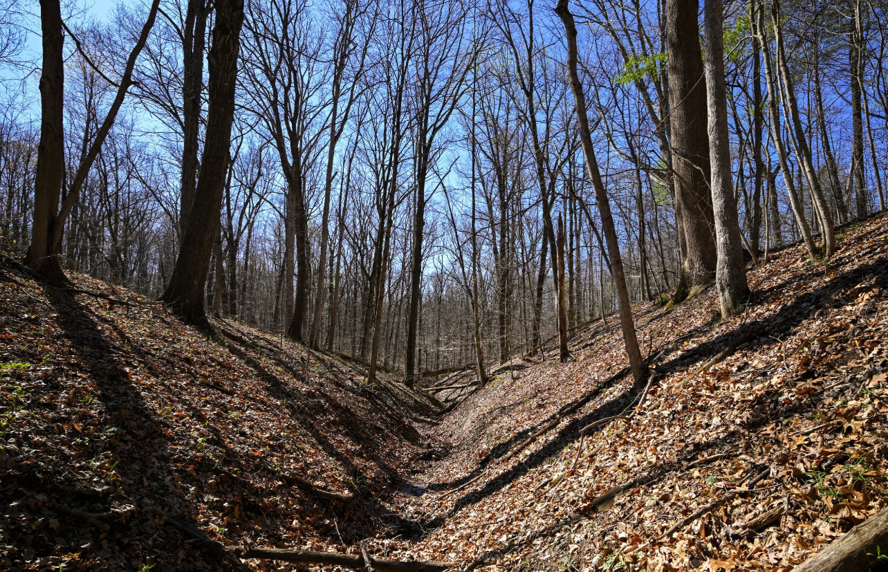 Indiana adds 122 acres to Yellowwood State Forest