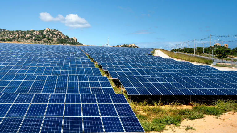 China urges solar industry to curb overcapacity as panel glut deepens