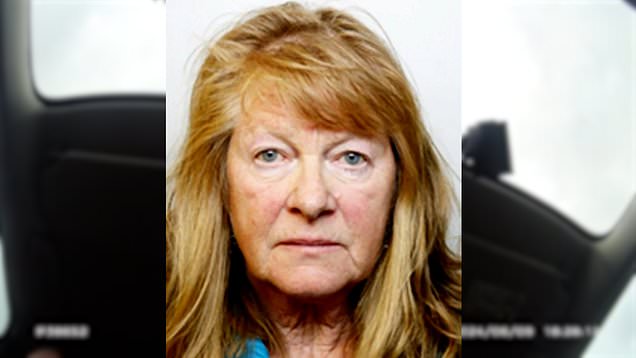 'It was a very nasty accident': Moment driver admits to knocking woman ...