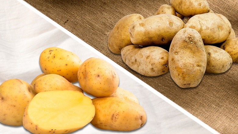 Yukon gold potatoes vs russet: A difference in flavor and texture