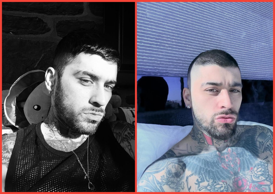Did Zayn Malik just come out as bisexual?