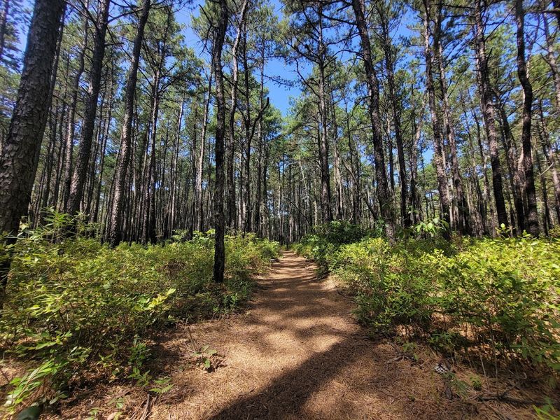 This 6-mile New Jersey hike takes you across a suspension bridge and ...