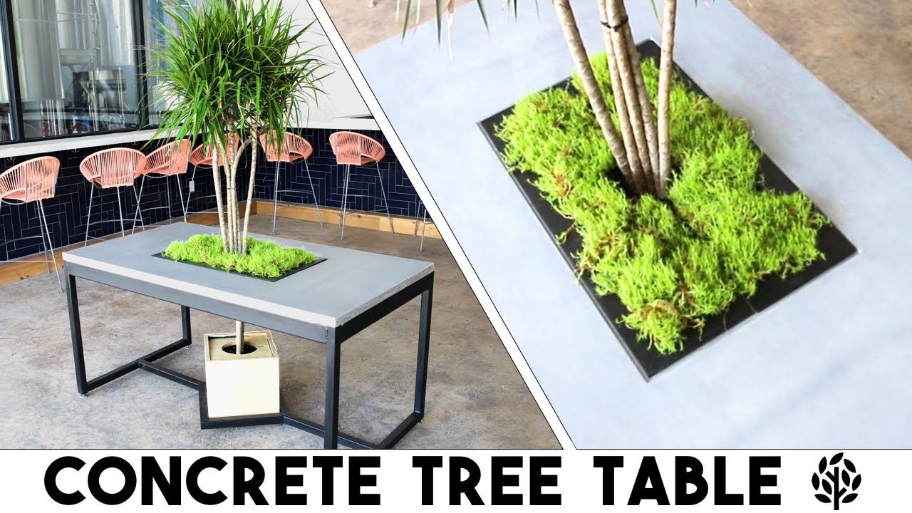 I built a concrete table with a tree! 🌳