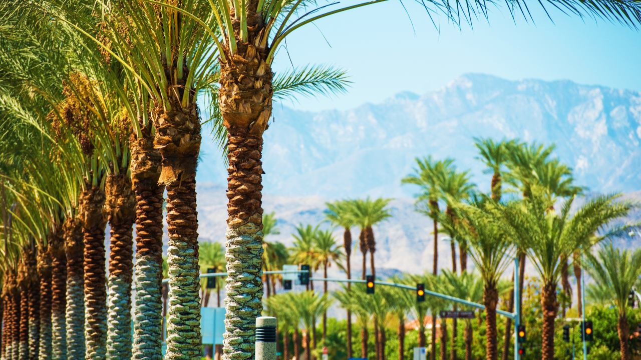 Palm Springs' top-rated destinations for a weekend getaway
