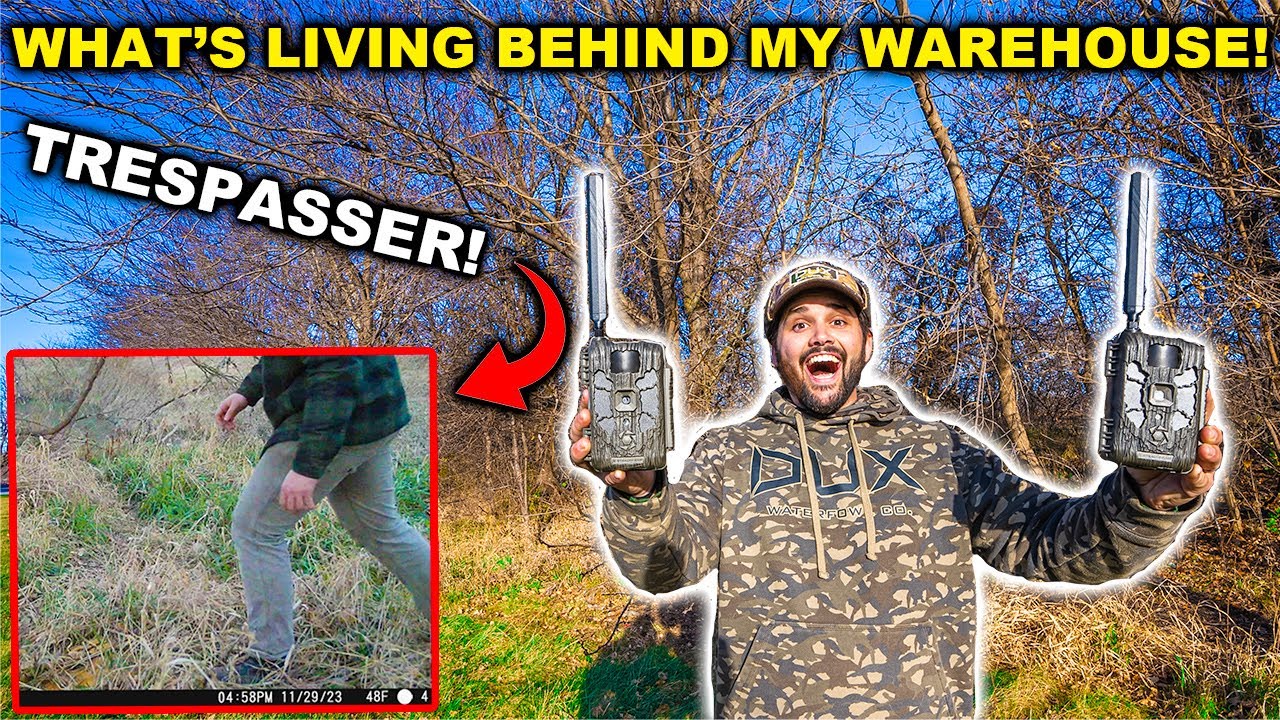 What’s living in the woods behind my warehouse