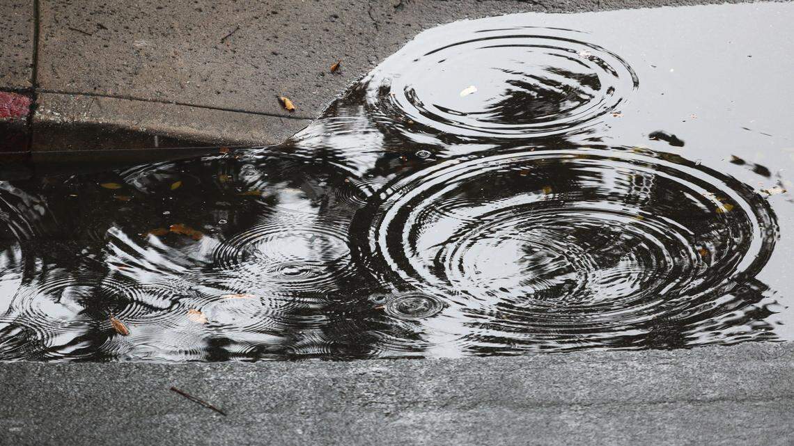SLO County had an above-average rain year. One spot got 127% of the ...