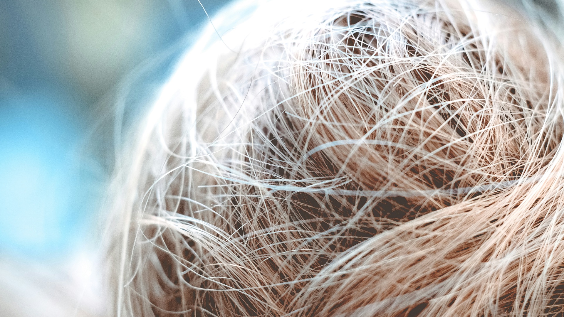 10 signs you're using the wrong hair routine & 10 you're doing it right