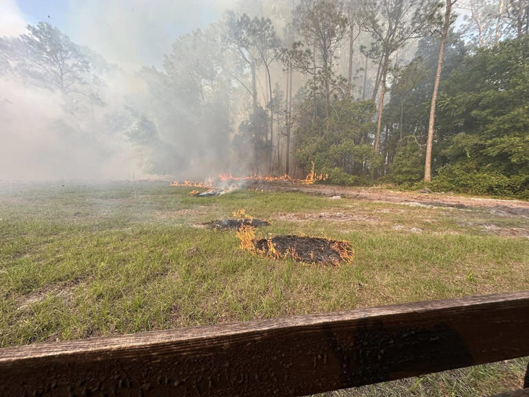 Wildfire Blog: Firefighters work to contain Cow Creek Fire in Levy ...