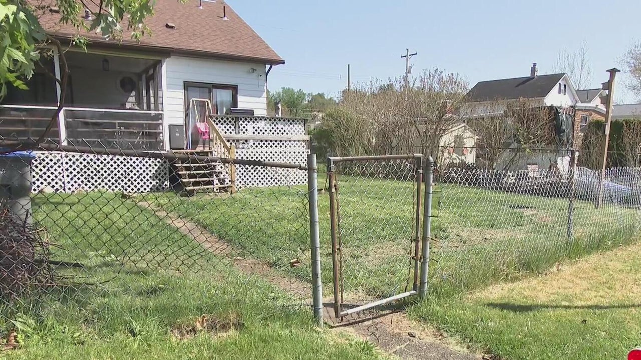 Child attacked, puppy killed during dog attack in Verona, police say