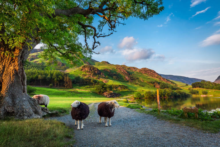 ‘Beautiful corner of the world’ Grasmere named Brits’ favourite UK ...