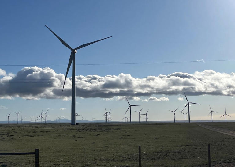 Renewable energy developer strikes grid connection agreement in Wyoming