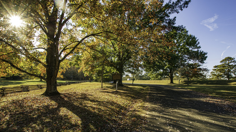 Situated between Chattanooga and Atlanta is a historic Georgia city ...