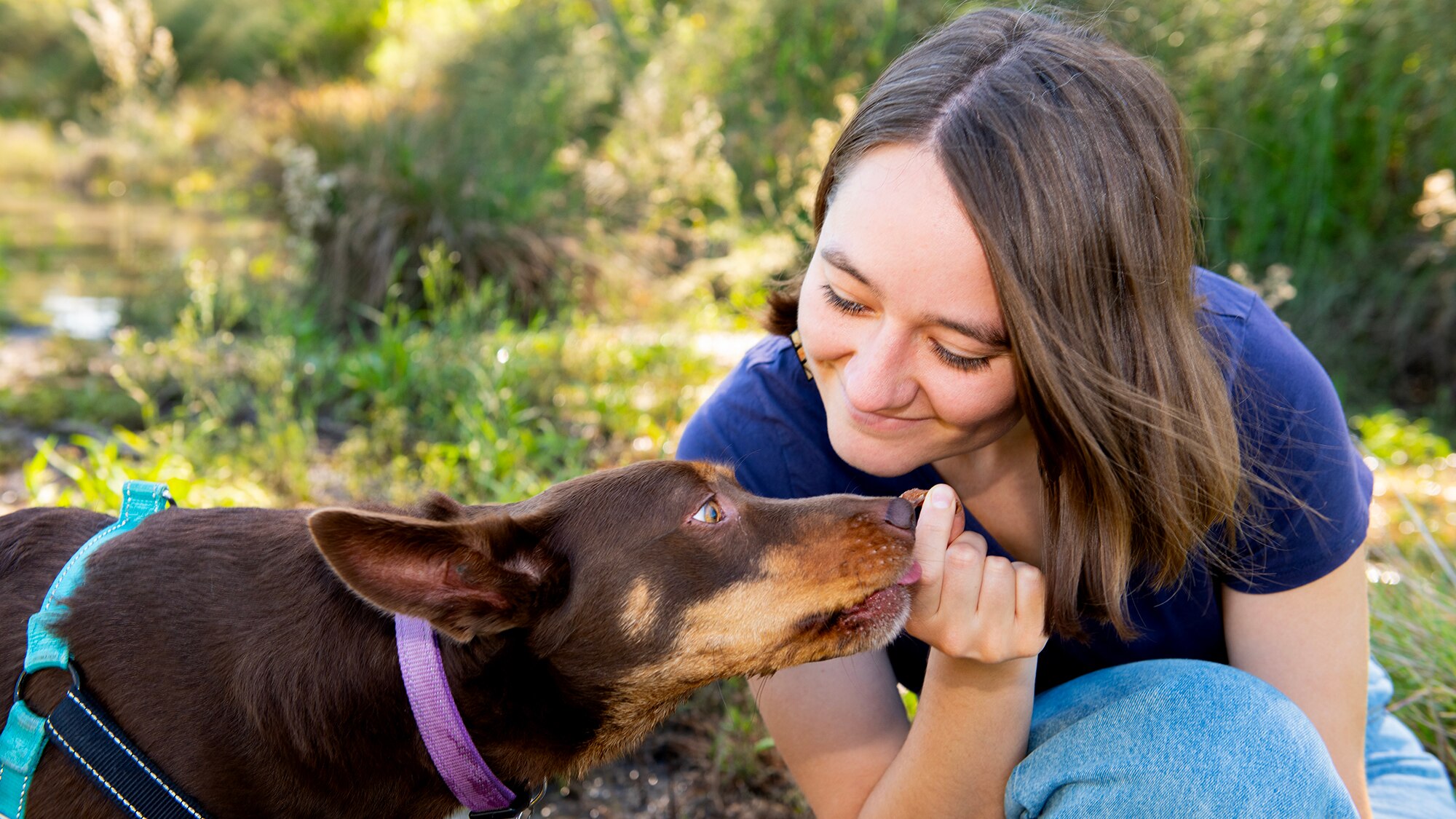 Meet the eco-venture turning European carp into popular dog treats