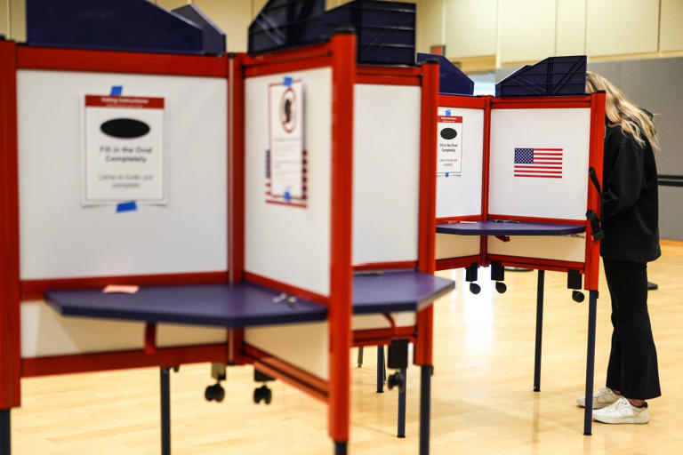 Virginia court blocks implementation of Democrat-drawn congressional ...