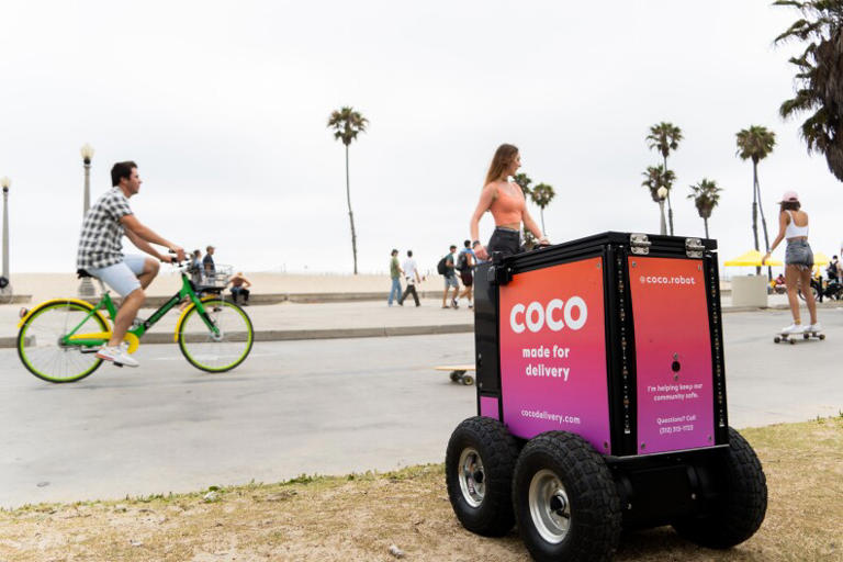 Delivery bots: Where you see cute, city officials see cash