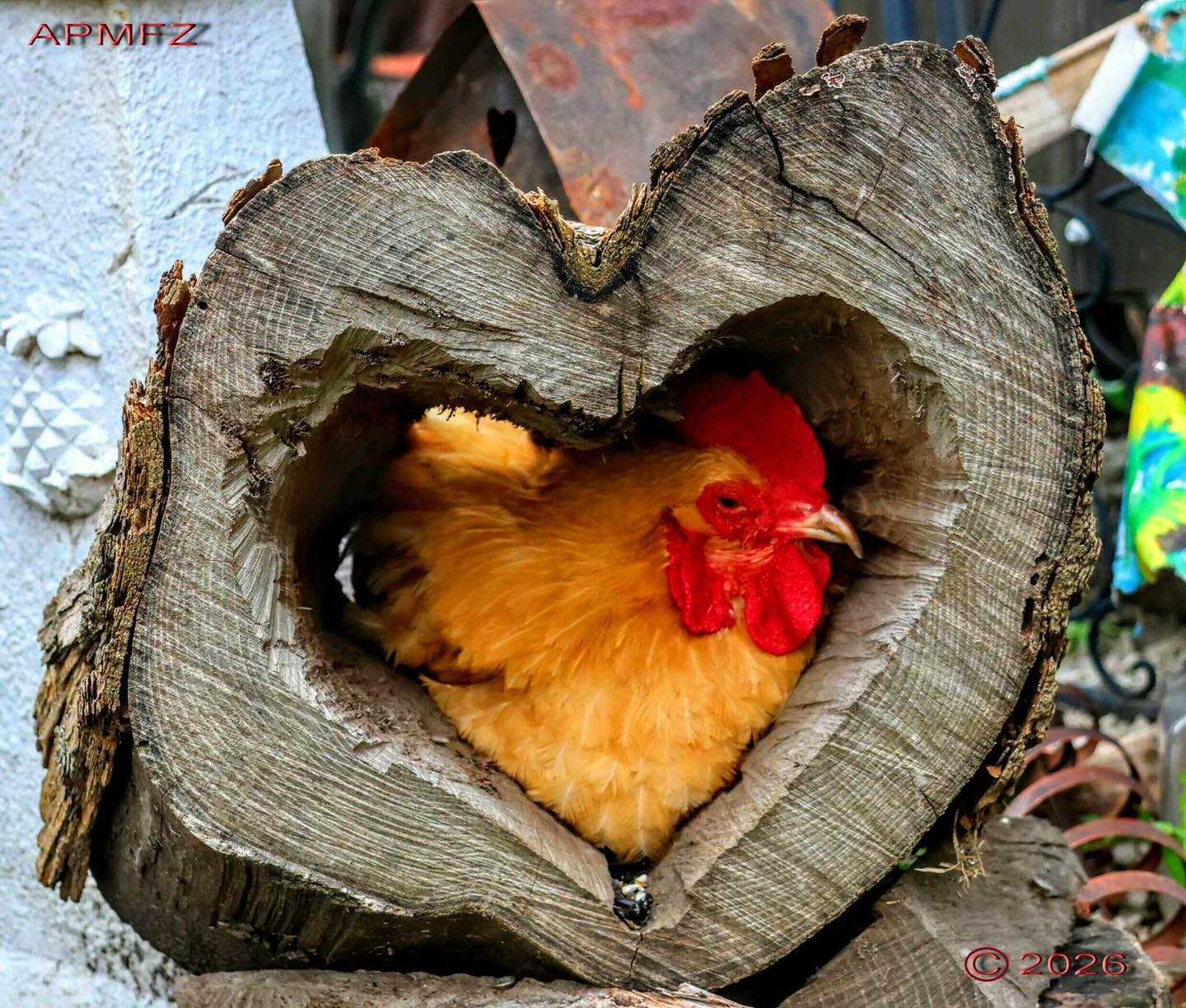 Iowa photo of the year? We love this heart-shaped snapshot