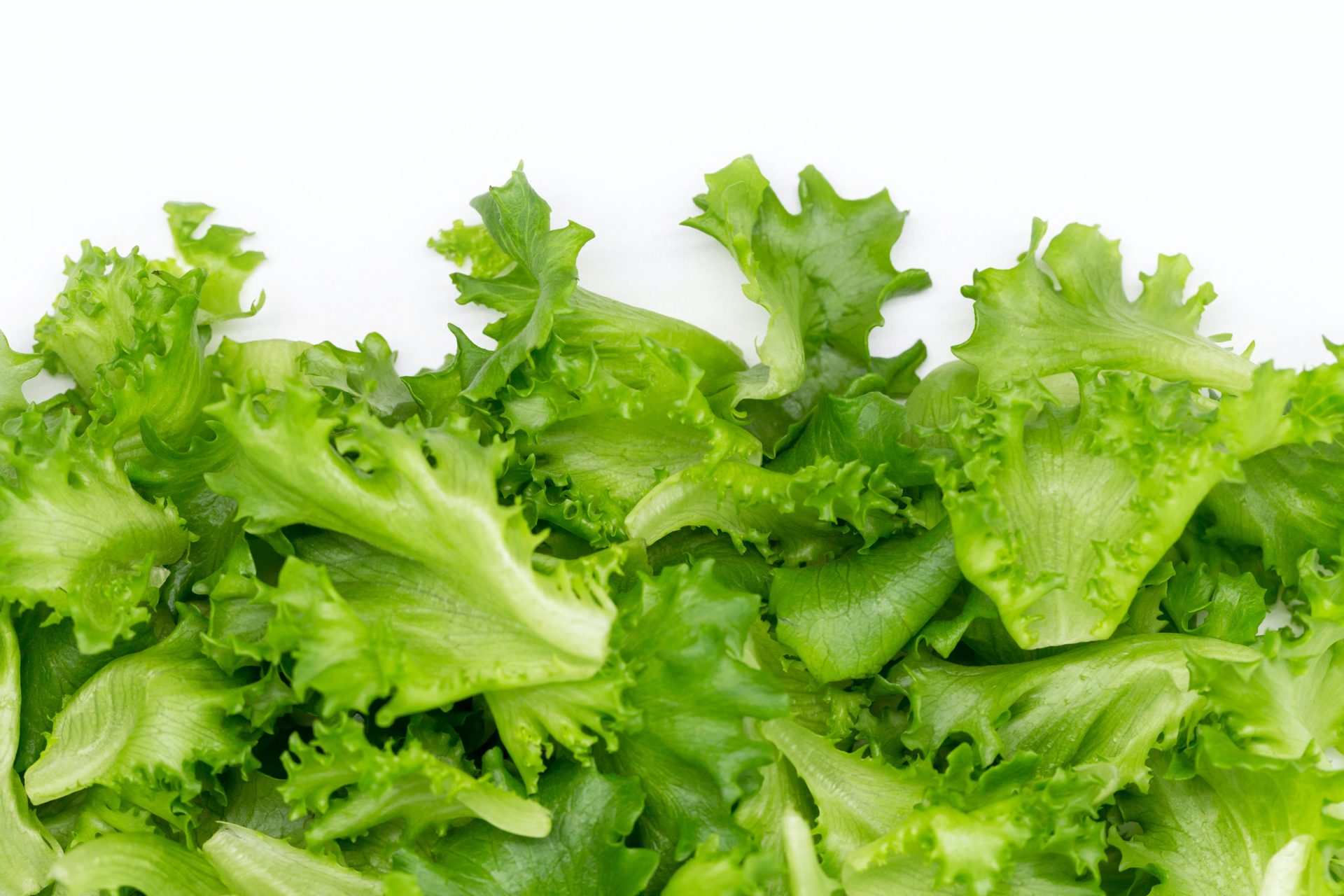 No green thumb? Try these easy vegetables