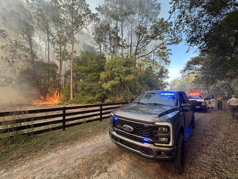 Wildfire Blog: Firefighters work to contain Cow Creek Fire in Levy ...