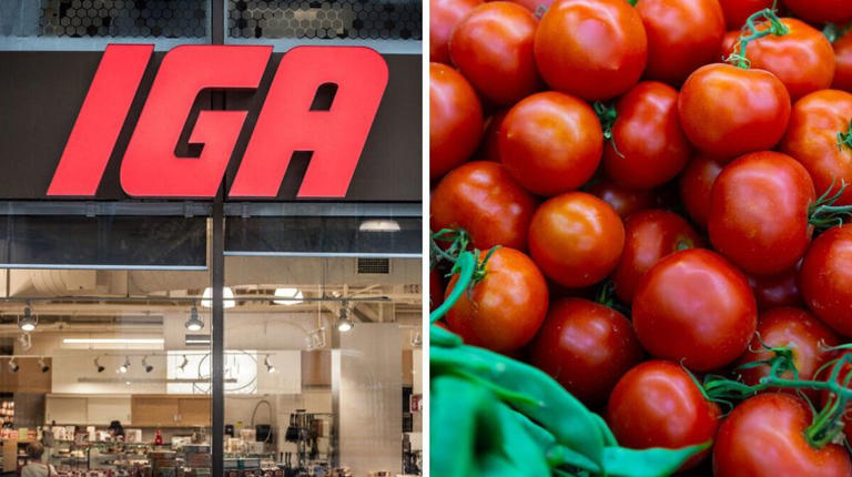 A Quebec IGA is charging $5 for an individually packed tomato and ...