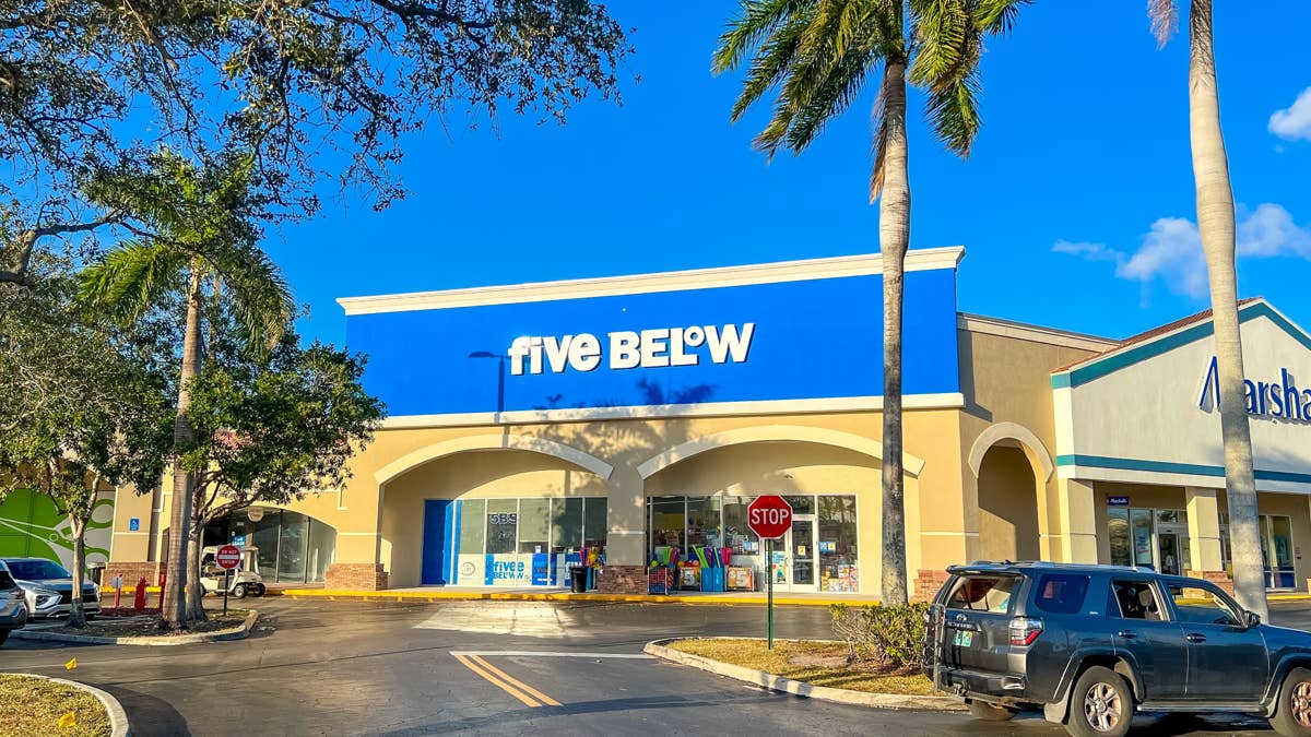 Five Below's handy $5 gadget is the perfect tool for keeping your pup ...
