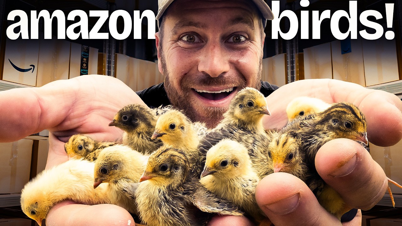 Smallest Amazon eggs hatch revealed
