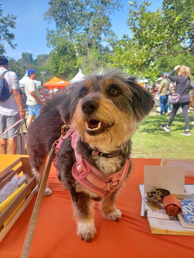 Thank you for your support of the KFI team & Pasadena Humane!