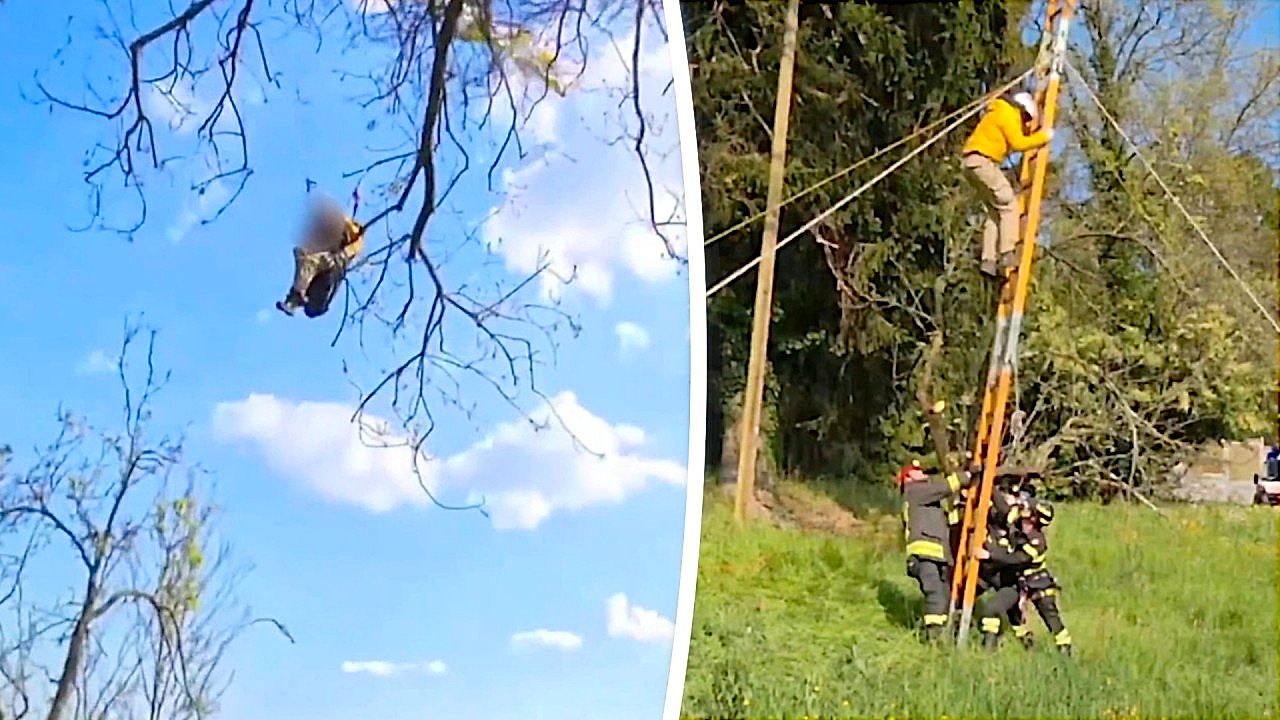 Paraglider left hanging in trees as rescue teams race into action