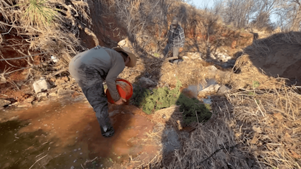 Texas water crisis could cost $170B; experts say conservation is key