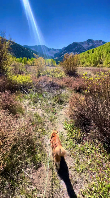 Fall hikes in Colorado feel truly unmatched