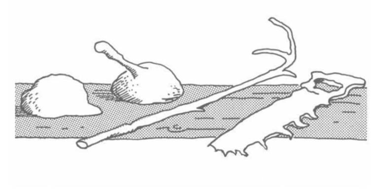 Did the Far Side once explain a joke to each newspaper that carried it?