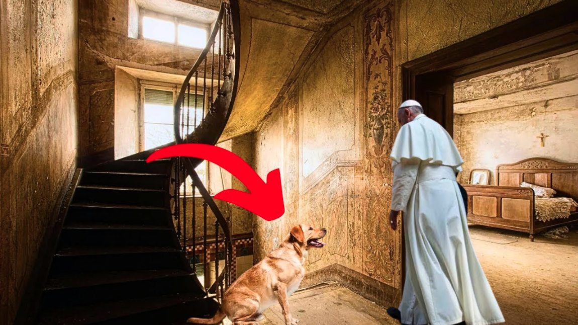 Dog keeps barking outside church, pastor follows it and makes a ...