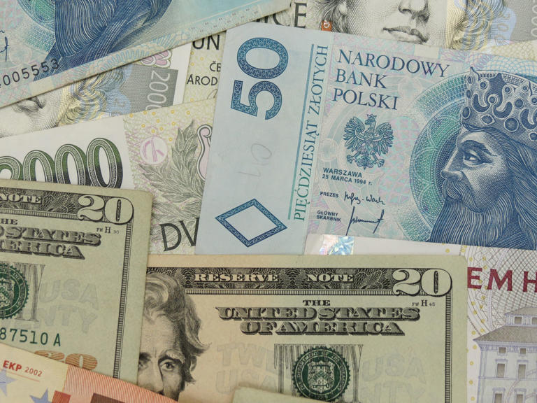 Kurs euro pozostaje stabilny. Dolar nieco ochłonął