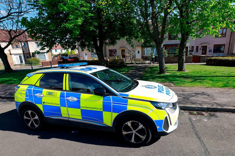 Baby dies after police called to home in Grangemouth