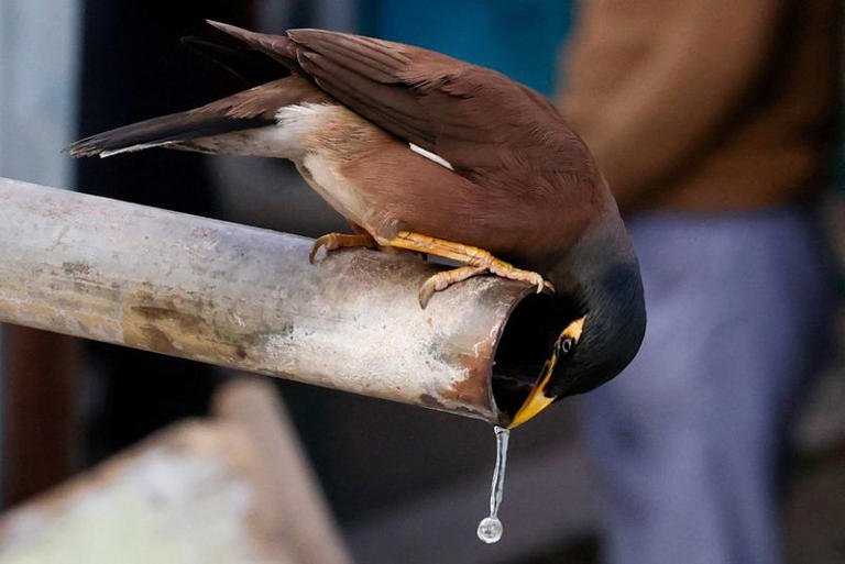 Rising water risks drive push for common water reporting rules