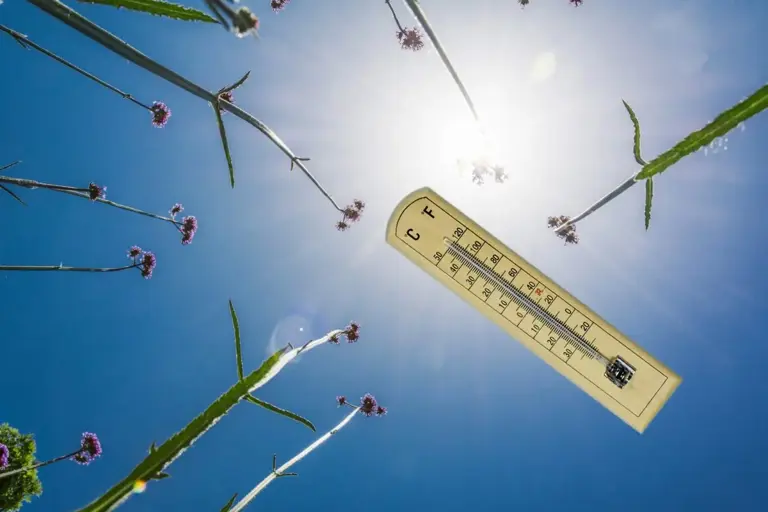 Aunque parezca mentira, a la AEMET le beneficia muchísimo el calor de ...