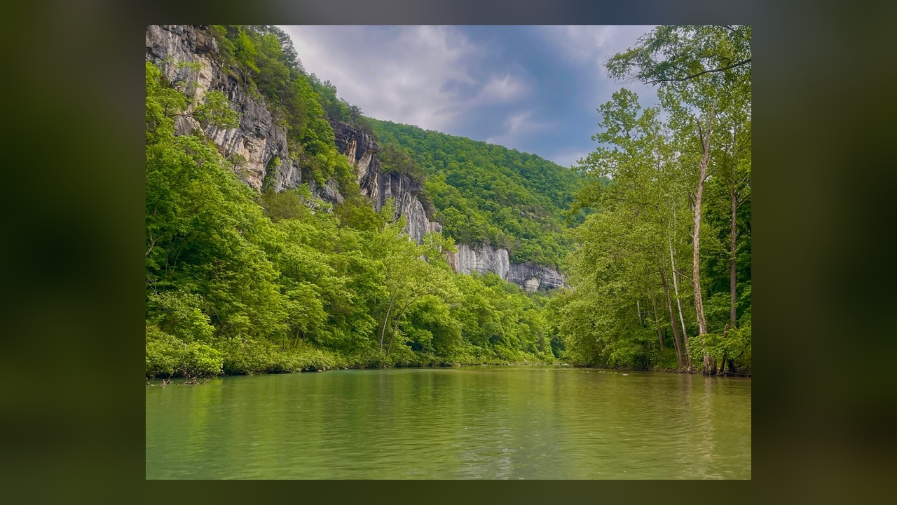 Elk at dawn, limestone bluffs, and a river that beat every dam ever ...