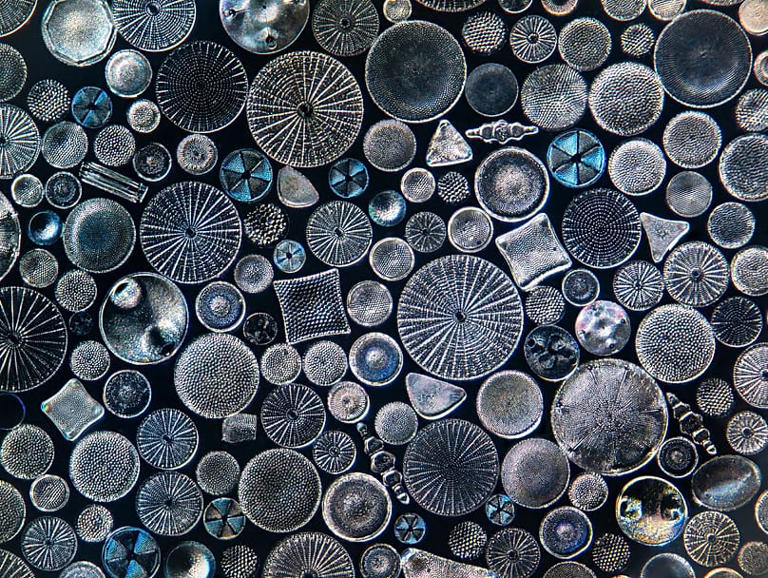 ‘Beautiful but precarious’: Photographer captures Earth’s fragile ...