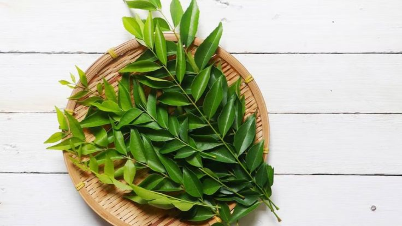 How to use curry leaves for grey hair? Know DIY recipe, benefits, and more
