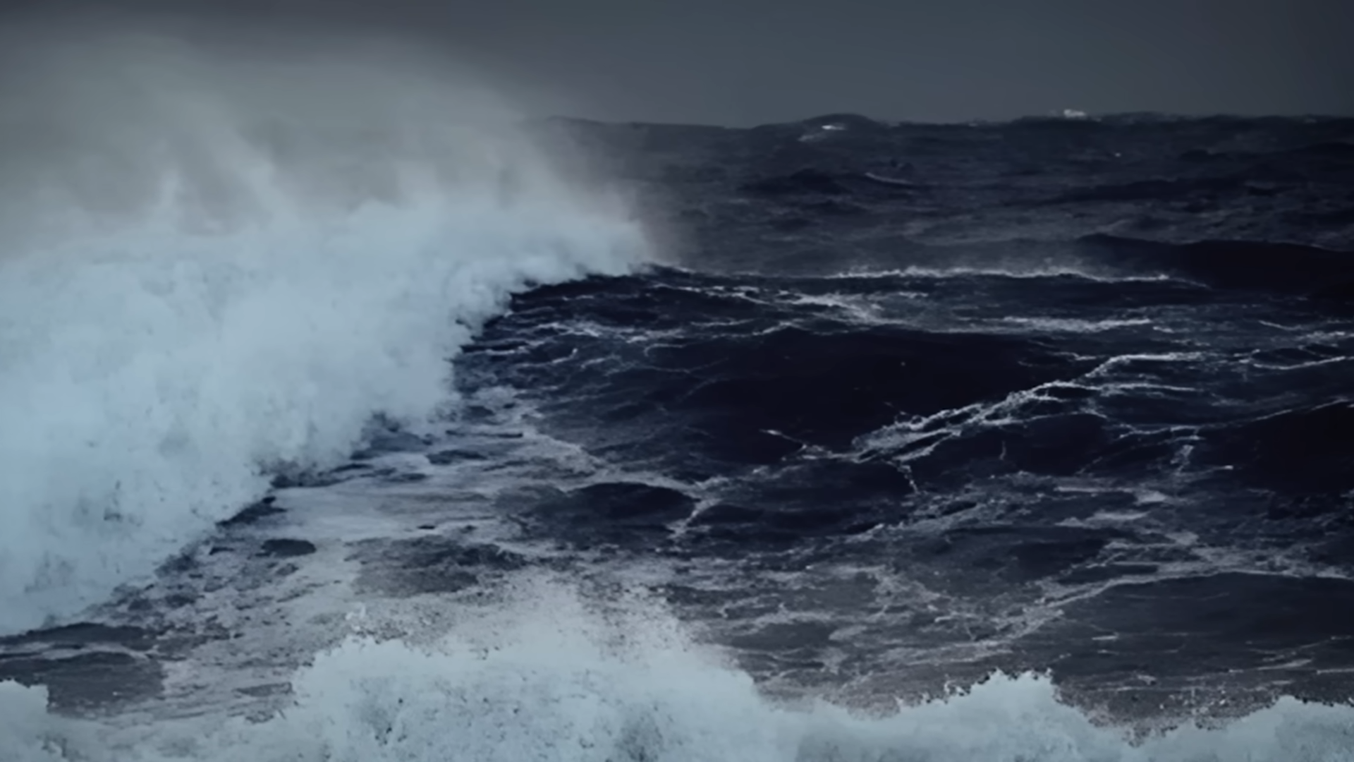444 men stood still as the ship sank - then they were surrounded by sharks