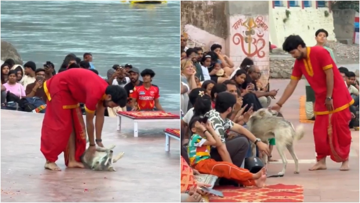 Rishikesh priest's gentle gesture towards stray dog during Ganga aarti ...
