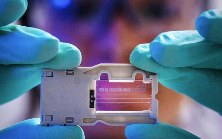 SA Medical Research Council rolls out rescue grants: What next for ...