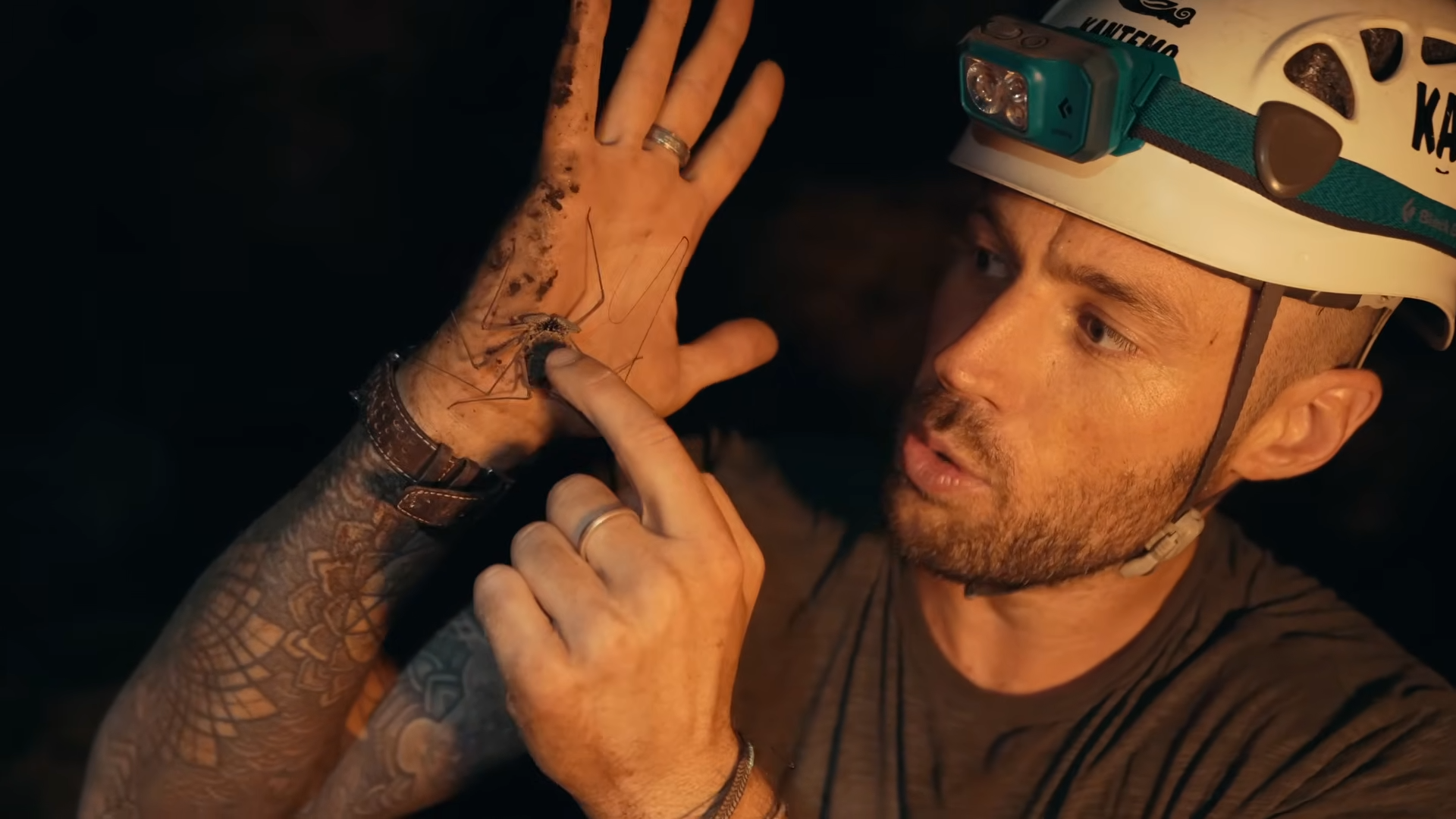 We entered a cave full of bats, but we found something worse than bats