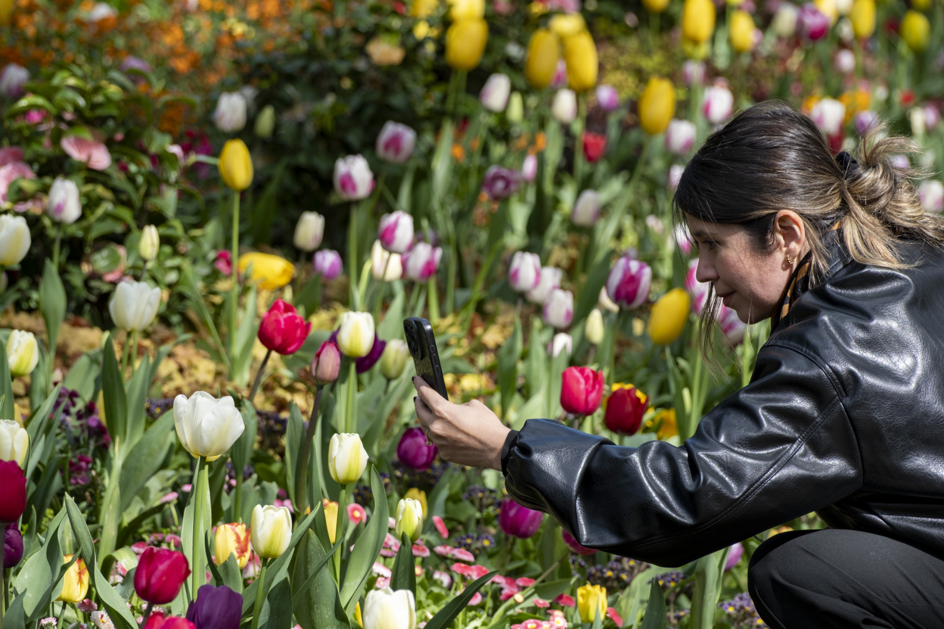 Do you know the spring flower of your zodiac sign?